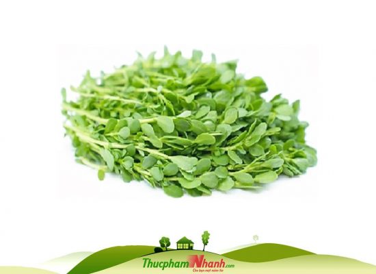 Sỉ lẻ Rau đắng - Loại 1kg - Giá Tốt | Thực Phẩm Nhanh