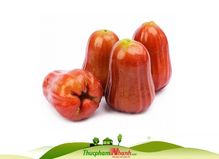 Sỉ lẻ Trái Mận Sạch Tươi - Giá tốt | Thực Phẩm Nhanh